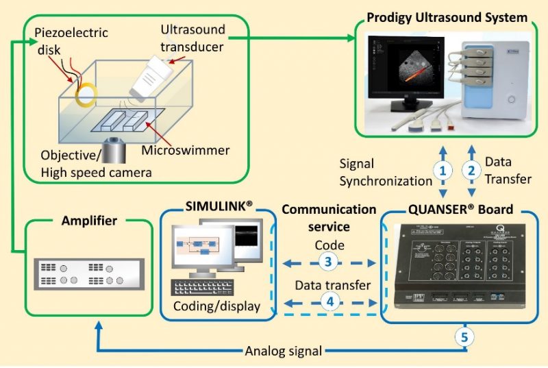 RESEARCH – SHARMA LAB